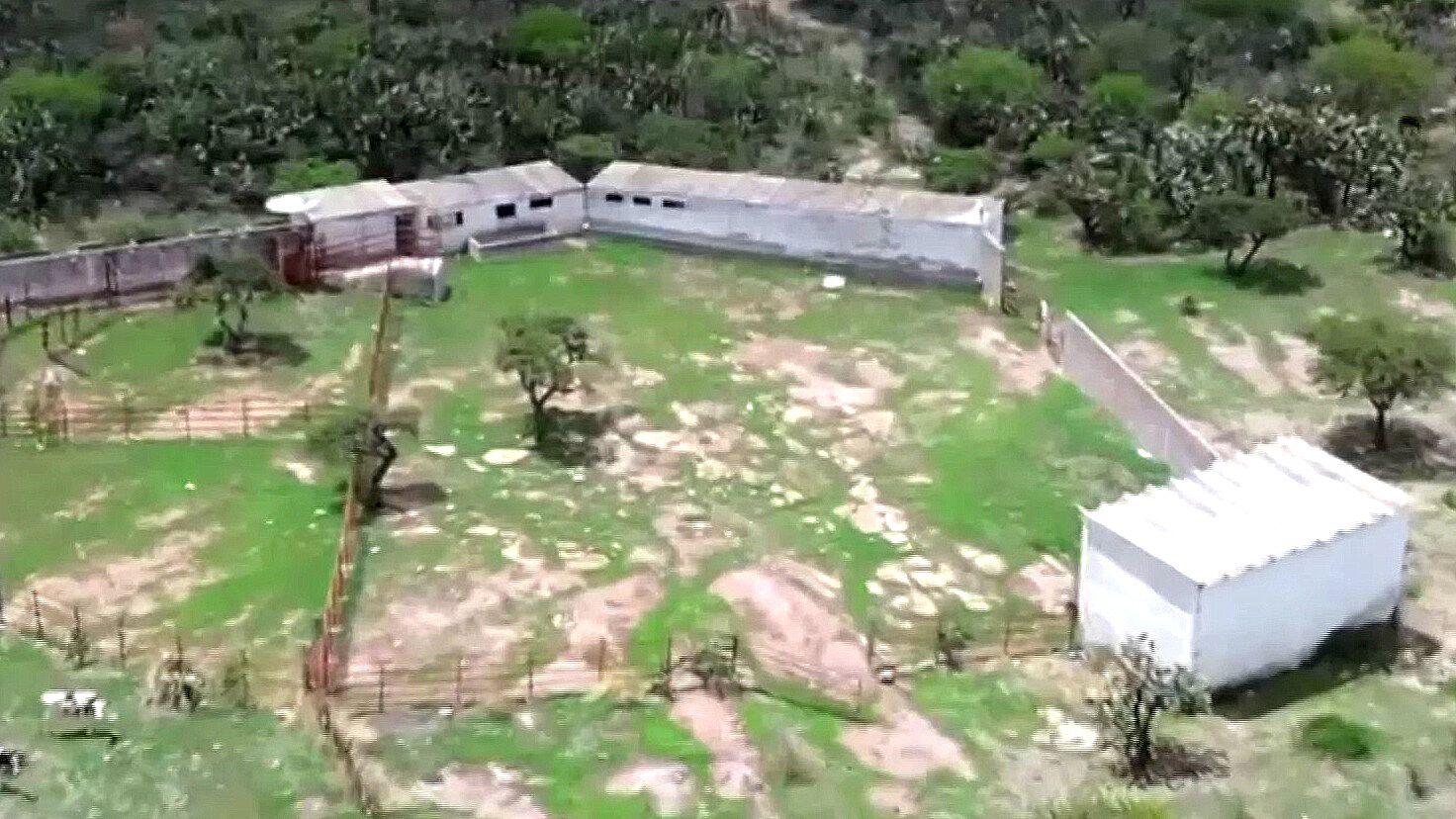 Lagos de Moreno: Localizan Cuatro Cráneos y Restos Óseos Calcinados en Finca | N+