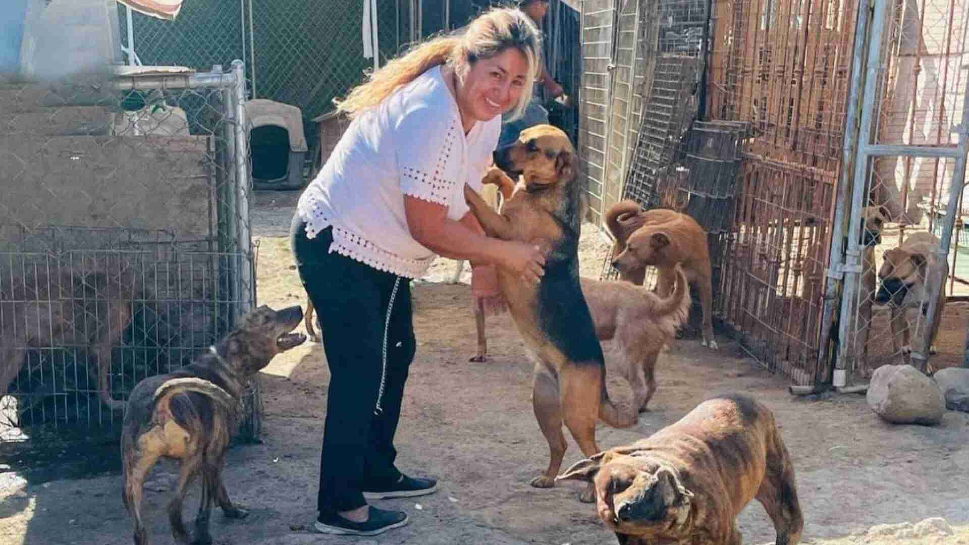 Asociación Recibe Material de Construcción Para Apoyar Animales en ...